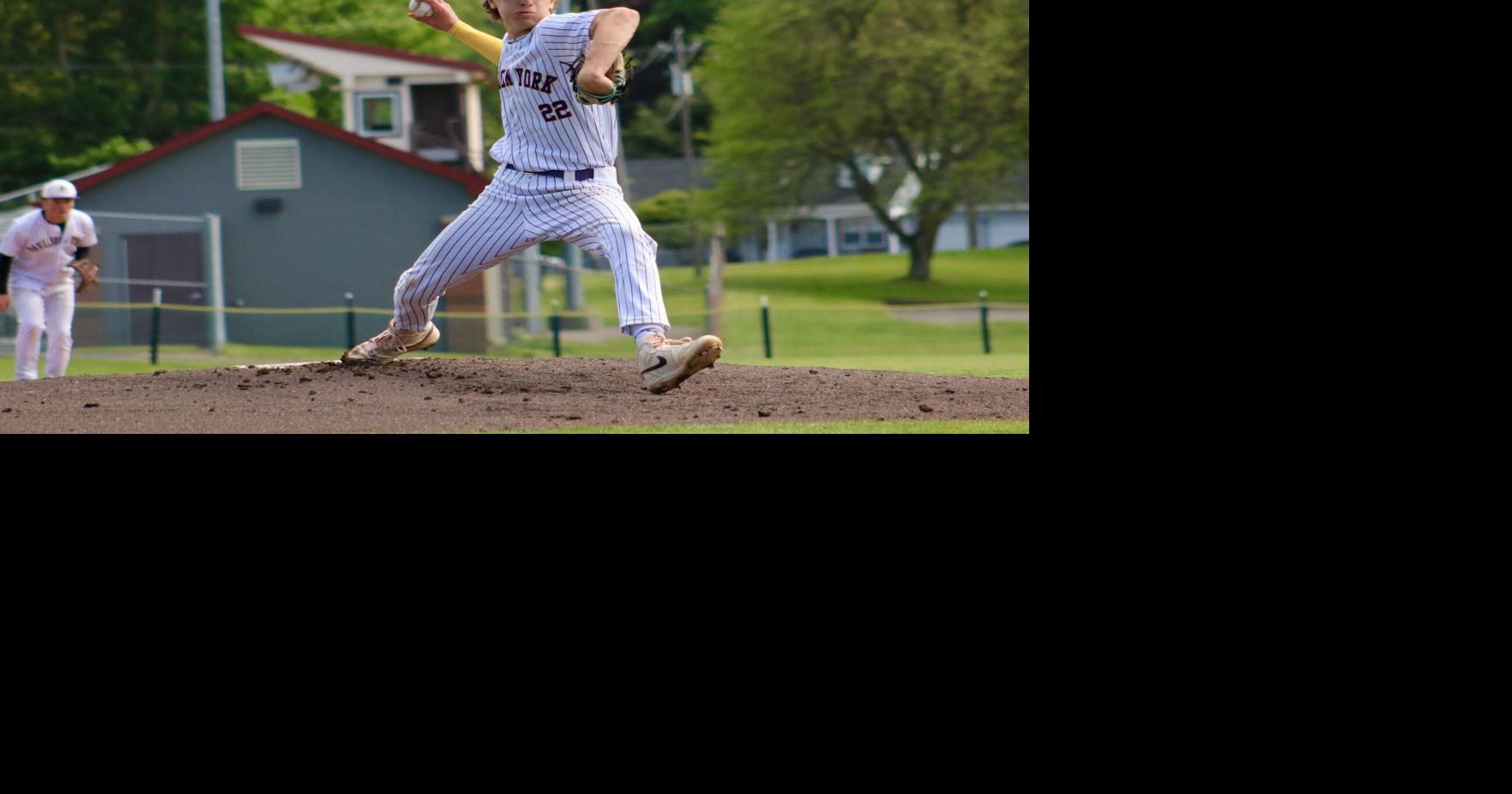 SEC. V BASEBALL: Pavilion/York rides Stoddard's impressive effort to ...