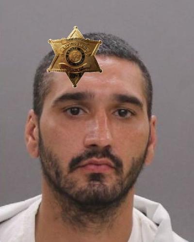 2 from Dansville charged in E-Bike theft | News | thedailynewsonline.com