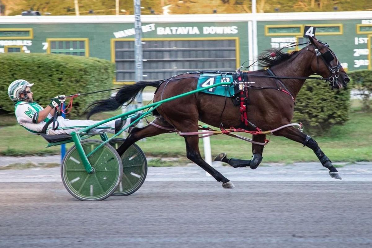 BATAVIA DOWNS: Just Plain Loco gets feature victory. | Sports ...