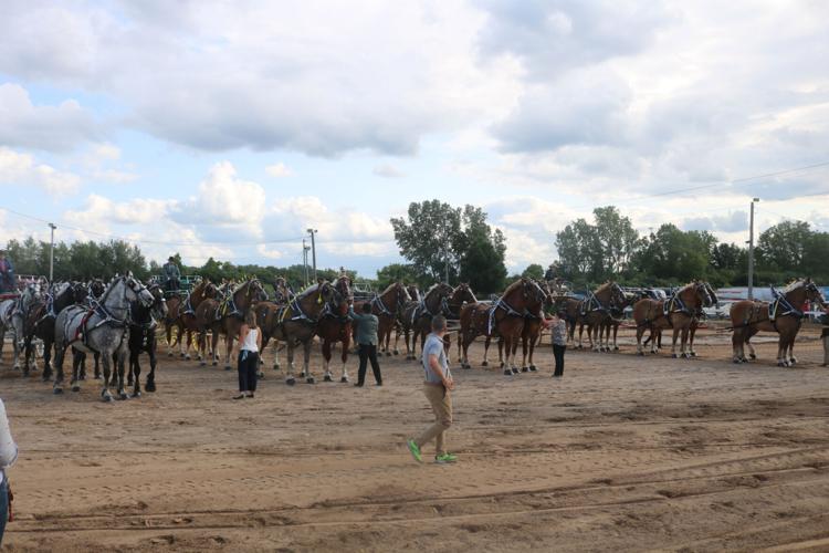 Genesee County Fair Six-Horse Hitch Classic results; weekend schedule ...