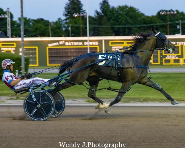 Alexander entries overpower peers in NYSS at Batavia | Sports ...