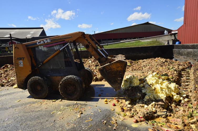 (WATCH) Meeting its fate: New York State Fair’s butter sculpture ...