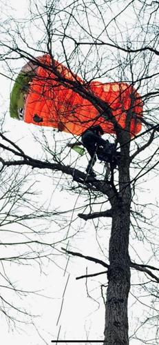 Veteran climber rescues parachutist stuck in tree | Local News ...