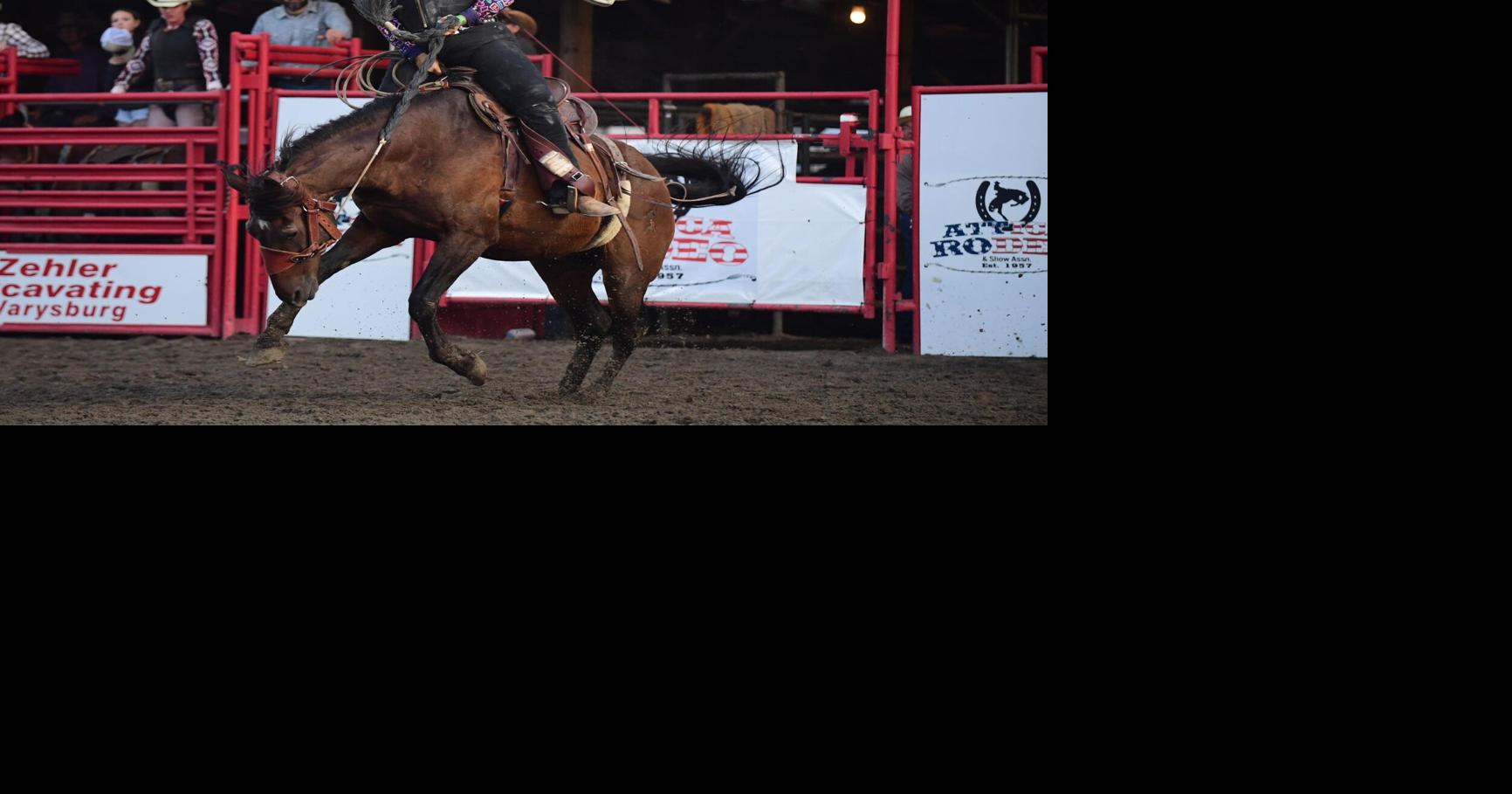 PHOTOS/WATCH: Action and thrills at the Attica Rodeo | News ...