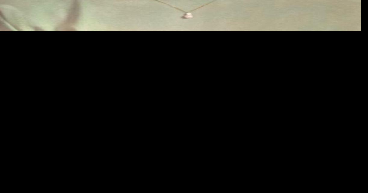 Sandra D. “Sandy” Sanford | Obituaries | thedailynewsonline.com