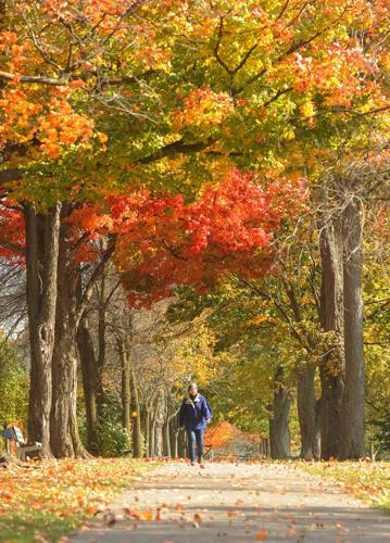 Peak autumn colors expected this weekend across GLOW region | Top Story ...