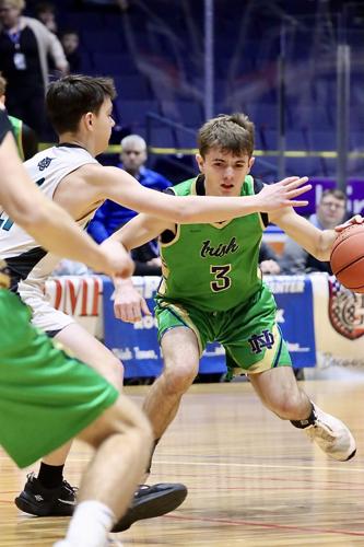 CHAMPIONS: Sherwood's strong first half propels Notre Dame past Arkport ...