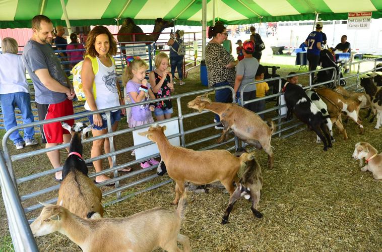 PHOTOS: Animals, rides and games at the Genesee and Orleans fairs ...