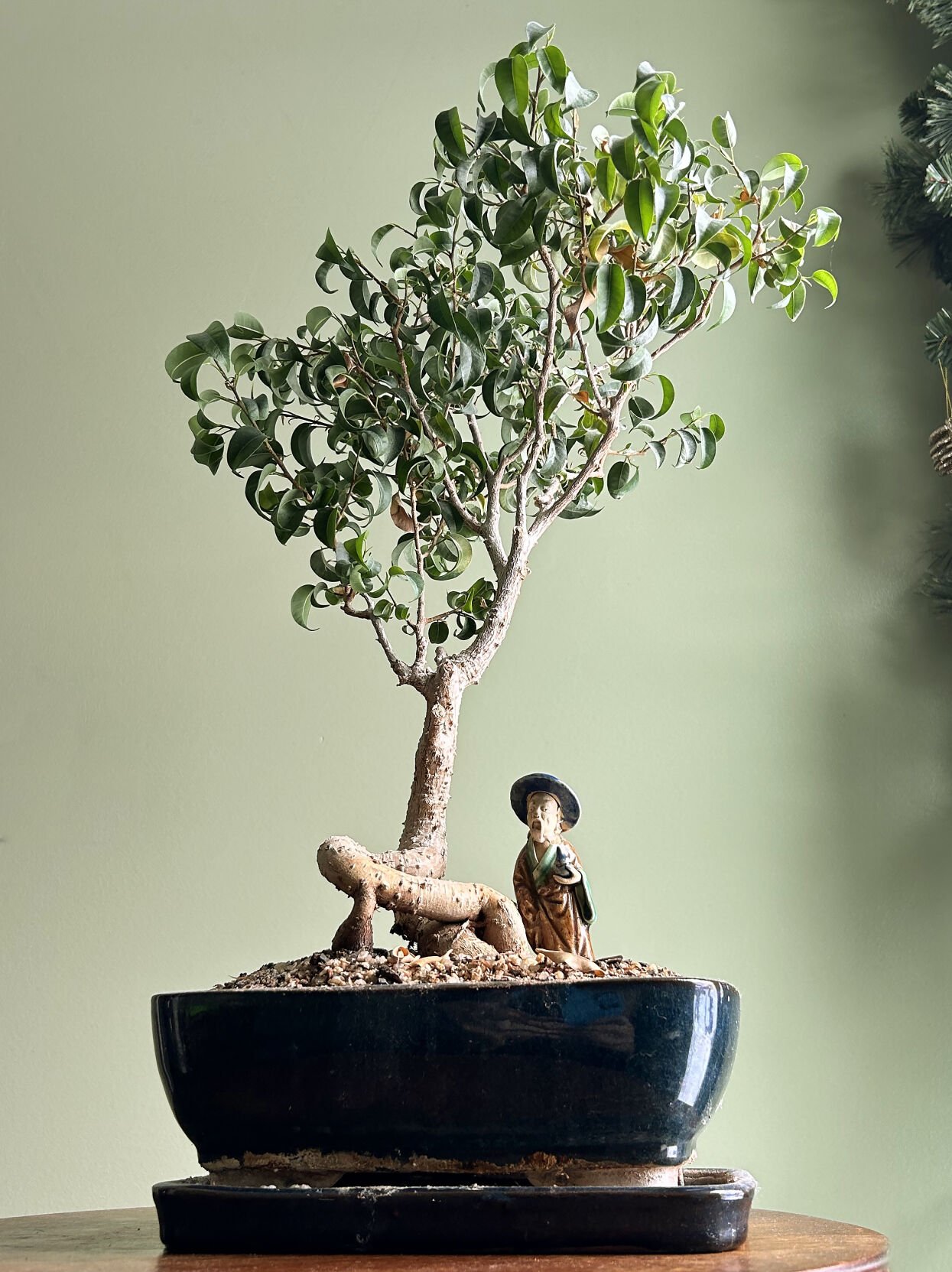 Page A1 | e-Edition | thedailynewsonline.com