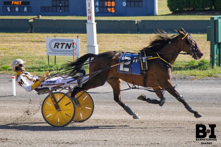 Valentine Express ties mark in Buffalo Open Trot win | Sports ...