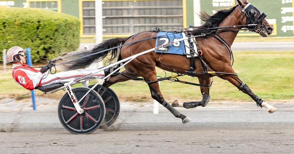 Fast Choice breaks track record in NYSS action at Batavia | Sport ...