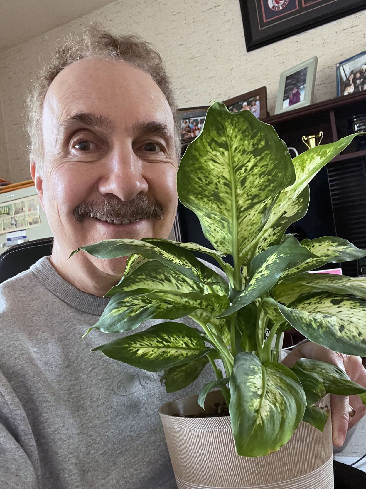 Jerry Zezima: Stairway to houseplant heaven | Lifestyles ...