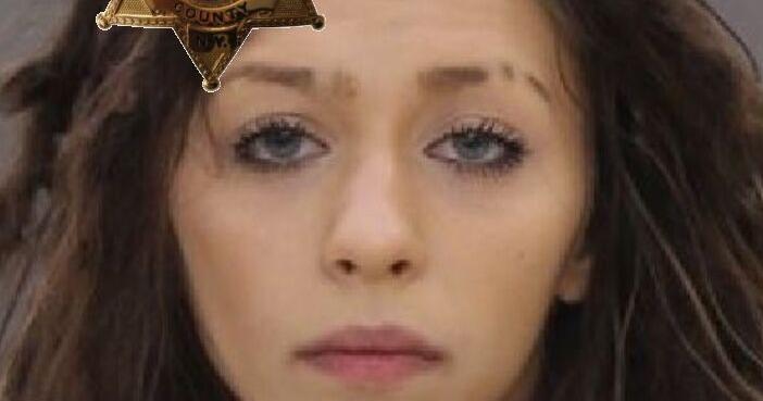 Sheriff's Office: Woman threatened to blow up Livingston County Dog Control | News ...