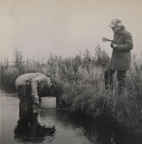 The fish thief: Documentary explores devastating sea lampreys of Great ...