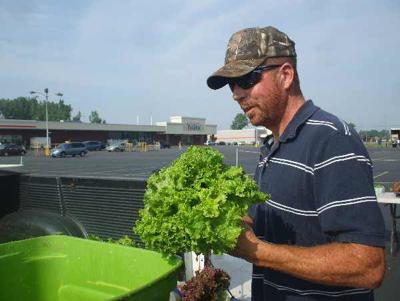Farm markets soon to see bigger bounty | News | thedailynewsonline.com