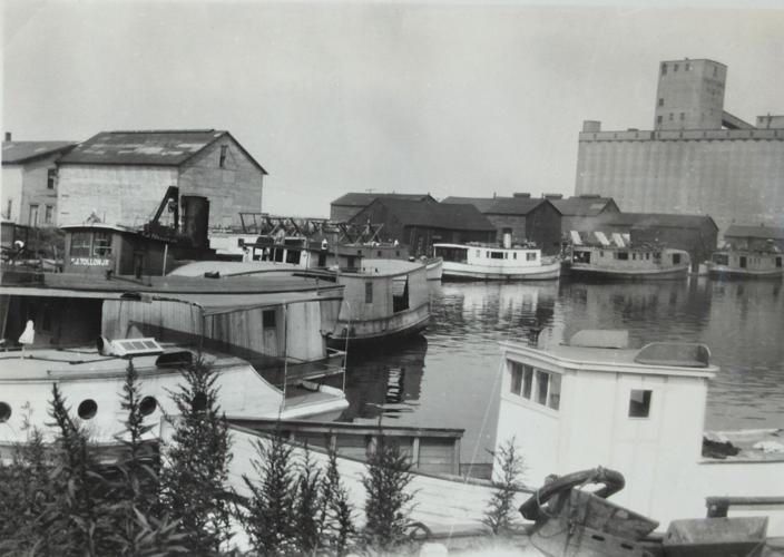 The fish thief: Documentary explores devastating sea lampreys of Great ...