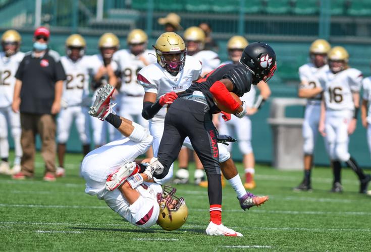 Dansville/Way-Co football merge has been a huge hit as DWC hosts ...