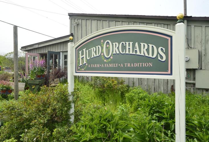 PHOTO: Hurd Orchards honored for 200 years in Holley | News ...