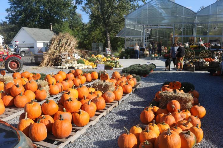 Fall Fest back at Harrington’s | Top Story | thedailynewsonline.com