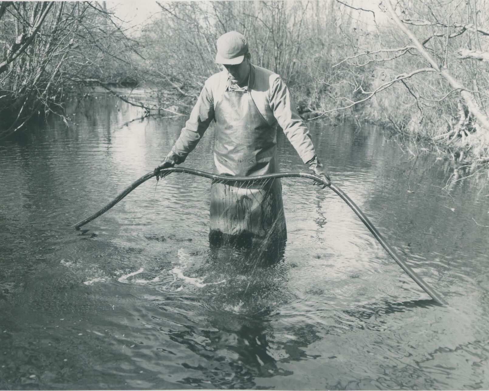 The fish thief: Documentary explores devastating sea lampreys of Great ...