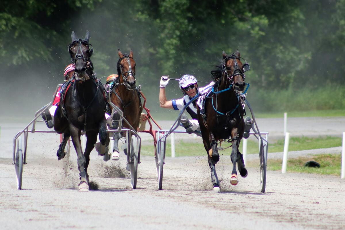 Hemlock Fair opens today with Sire Stakes harness racing | Lifestyles ...