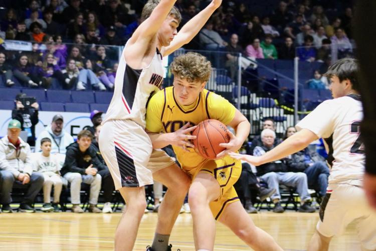 SEC. V BOYS BASKETBALL: Cinderella York beats B-R, claims second ...