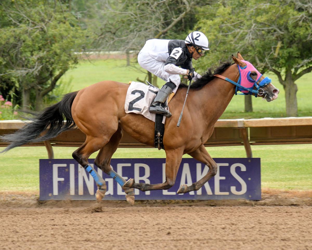 Gone and Forgotten repeats in Arctic Queen Stakes at Finger Lakes on ...