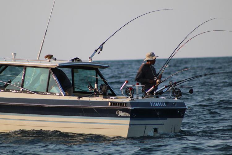 The fish thief: Documentary explores devastating sea lampreys of Great ...