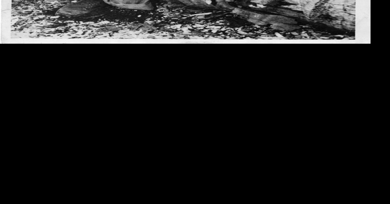 How little books, millions of them, helped in Word War II | Lifestyles ...