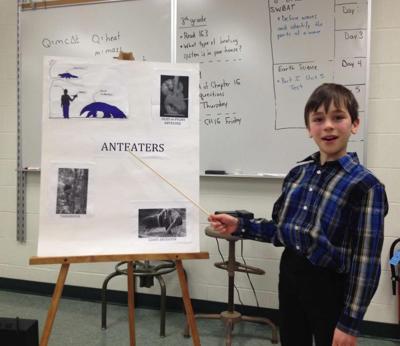 Rare mammal | | thedailynewsonline.com