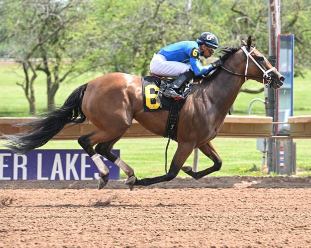 Arctic Queen Stakes highlights Labor Day card | Sports ...