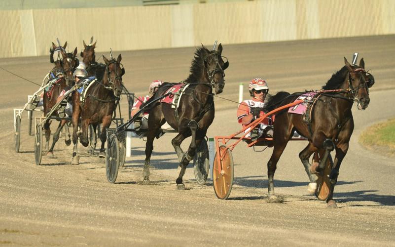 Batavia Downs preparing for 62-day summer-fall meet | News ...