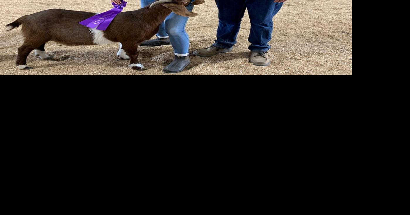 Elba native earns showmanship honor at Alfred State | Lifestyles ...