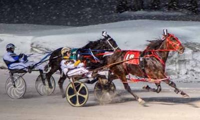 HARNESS RACING: Buffalo Raceway cancels 14-race program on Wednesday ...