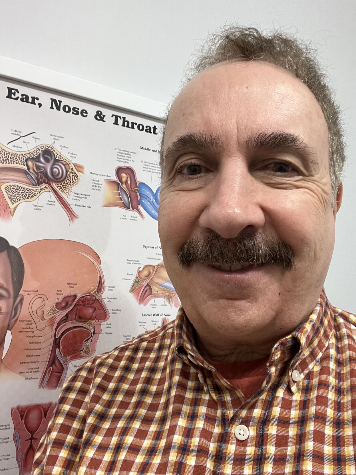 Jerry Zezima: No snooze is bad news | Lifestyles | thedailynewsonline.com