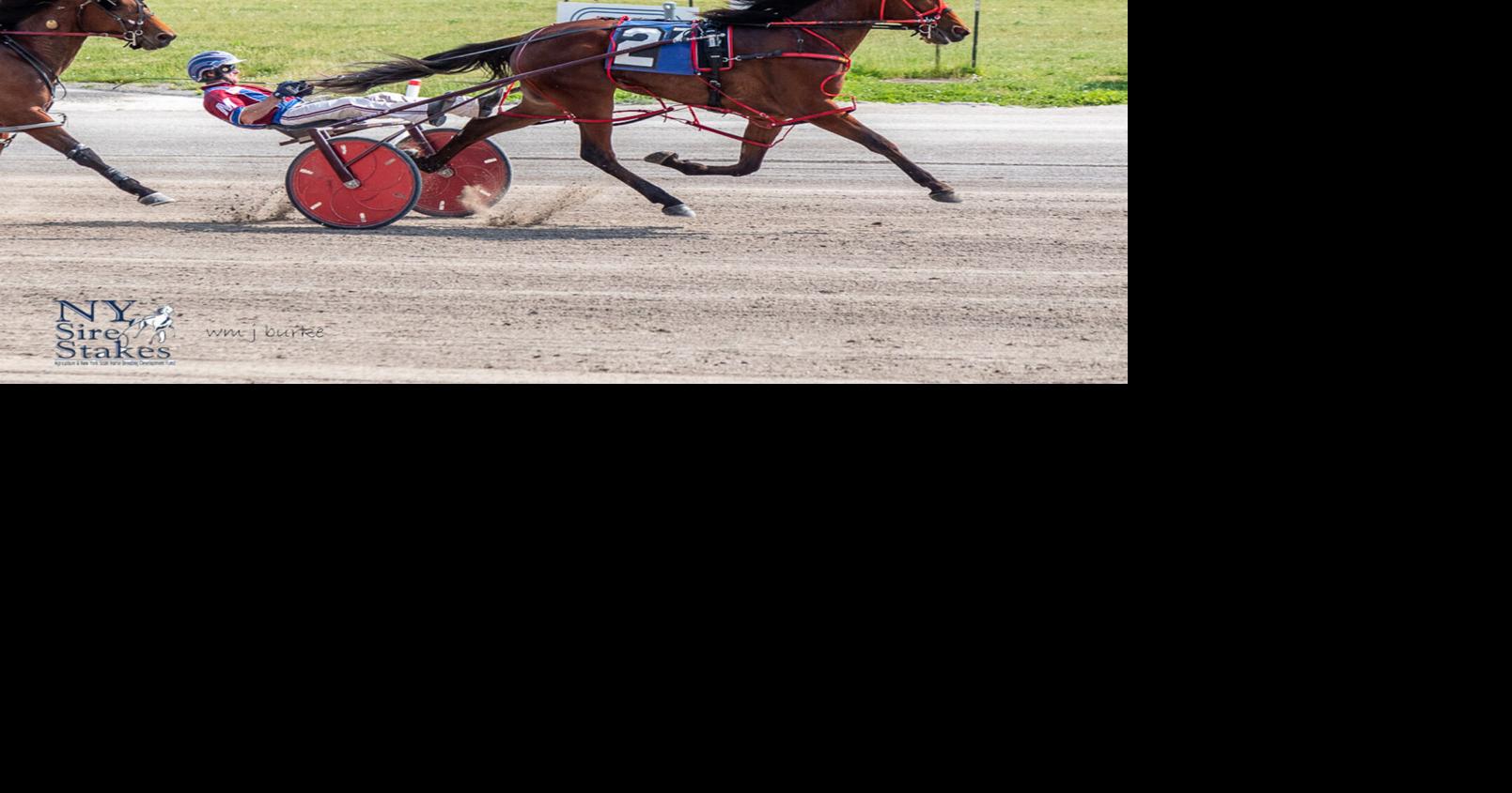 HORSE RACING: Vivans Dream, Turn On The Charm winners at Buffalo ...