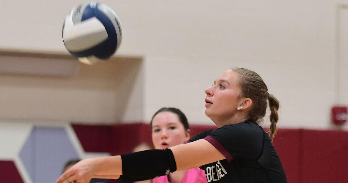 H.S. GIRLS VOLLEYBALL: Meyer, Rimmerman lead Byron-Bergen over ...