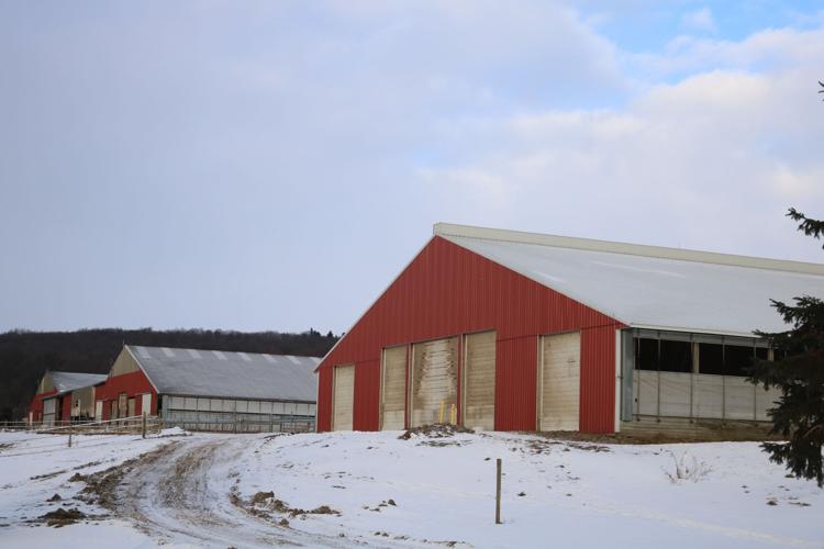 Boxler success is all in the family | Special Sections ...