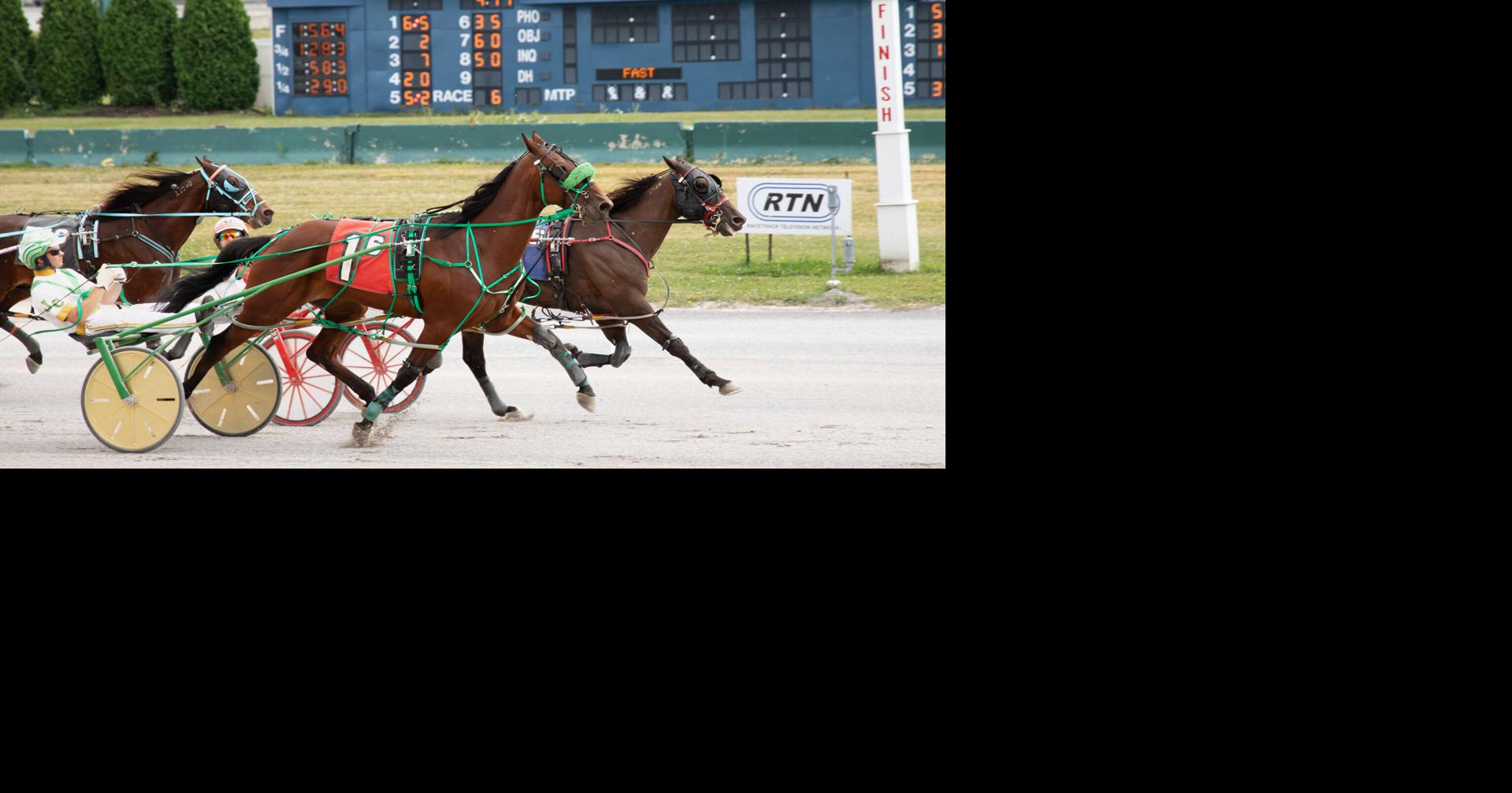 Bet On Blake worth a wager at Buffalo Raceway | Sports ...