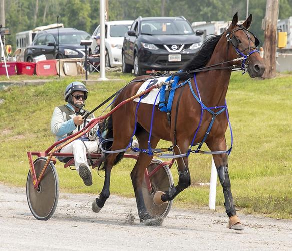 Hemlock Fair: Harness racing excites people of all ages | Lifestyles ...