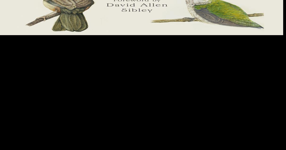Review: Amy Tan takes wing in ‘Backyard Bird Chronicles’ | Lifestyles ...