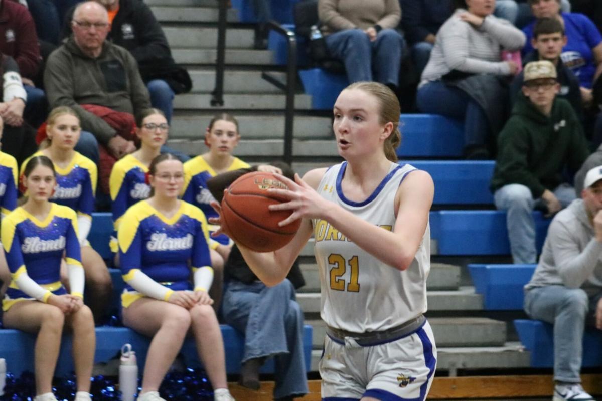 H.S. GIRLS BASKETBALL: Williams, Hicks power O-A in showdown with Elba ...