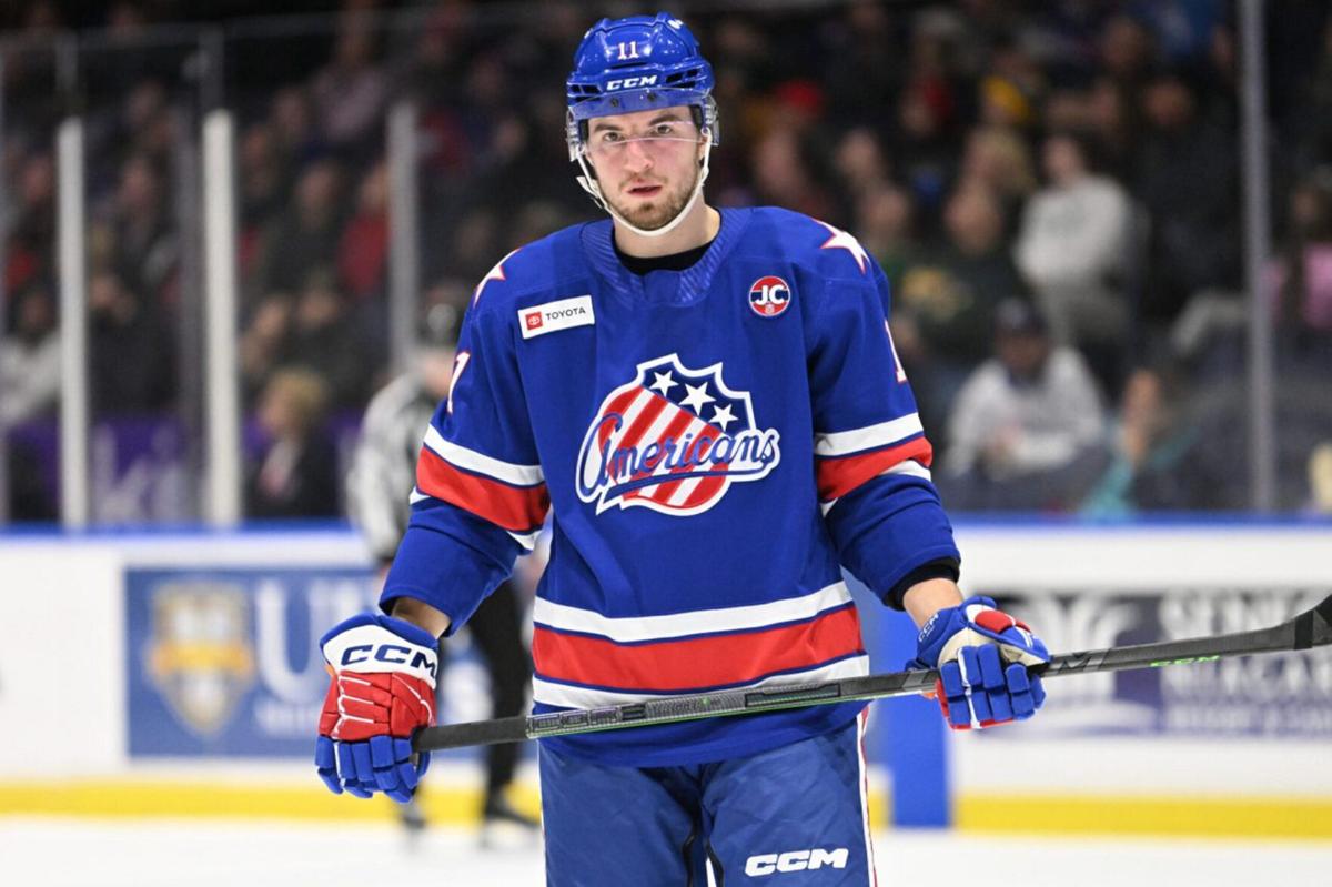 Sabres sign Rousek to two-year contract | Sports | thedailynewsonline.com