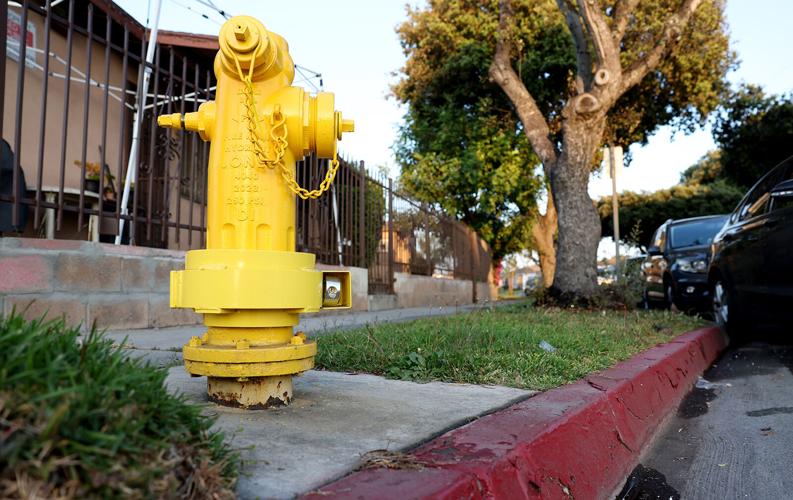 For some affluent homeowners, private fire hydrants are in big demand ...