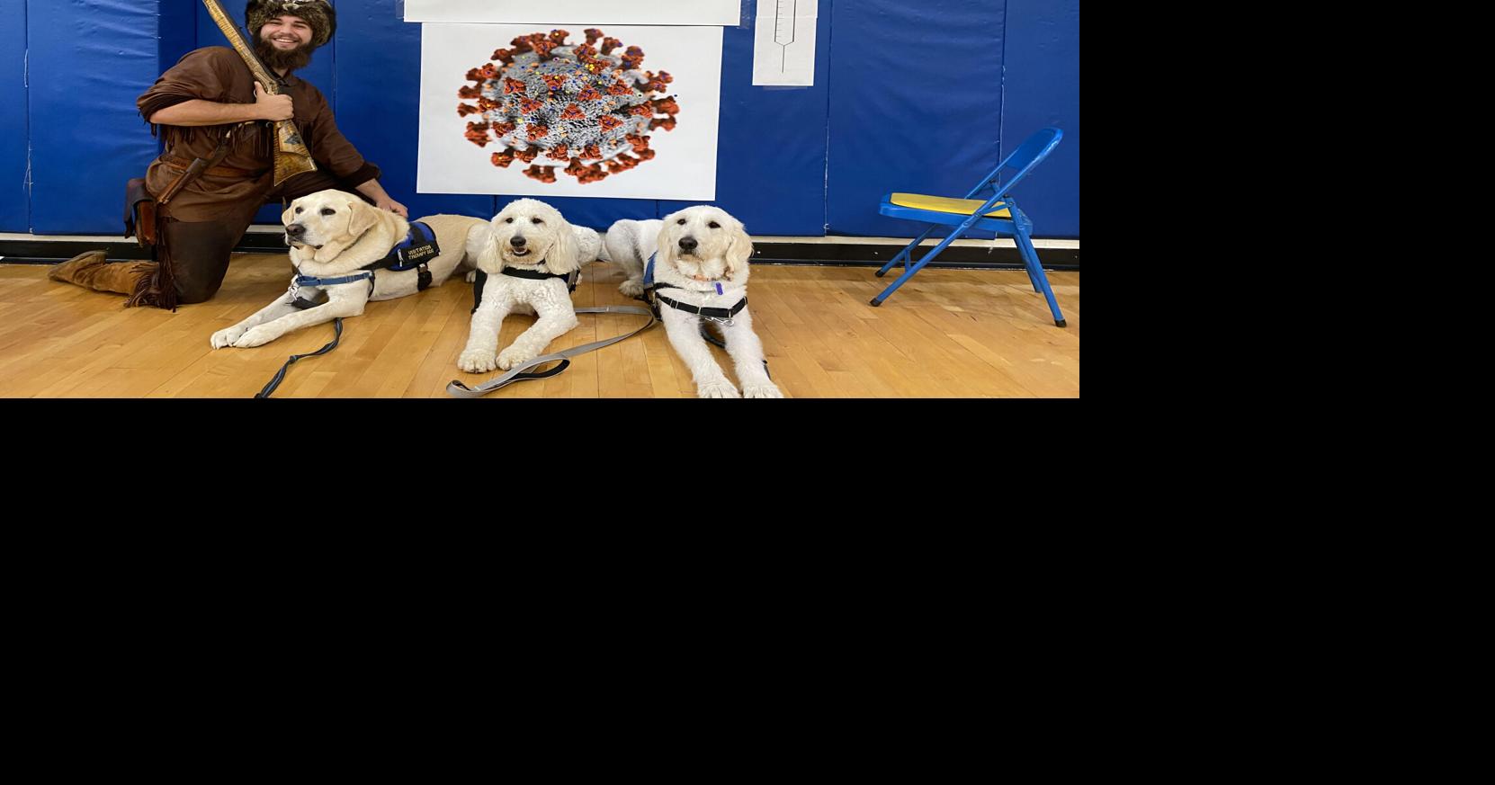 Meet the eight visitation therapy dogs of WVU | Culture | thedaonline.com