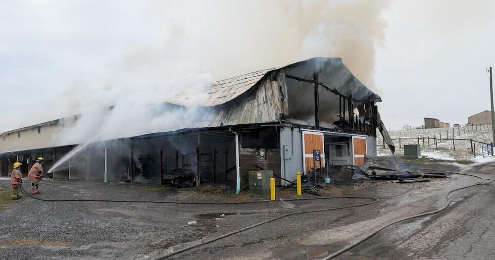 WVU Equine Center barn catches fire | | thedaonline.com