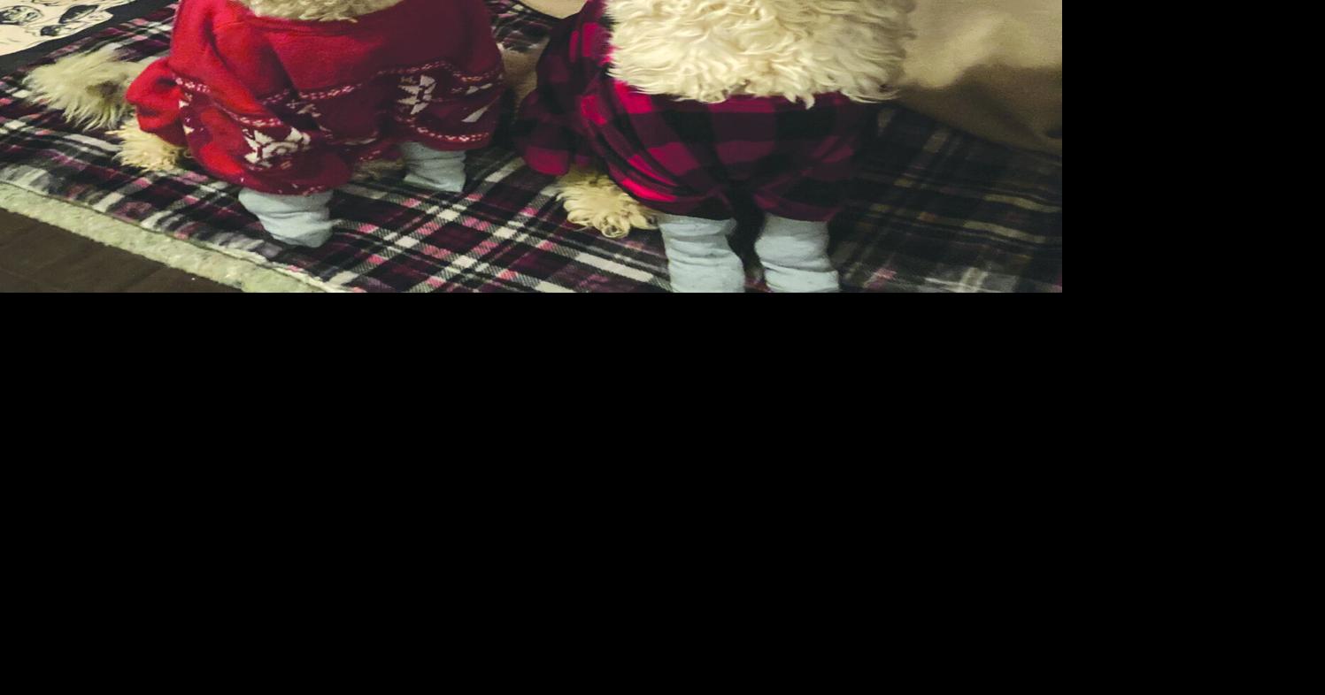 Pet of the Week - Meet Pi and Dia! | Pet of the Week | thedaonline.com