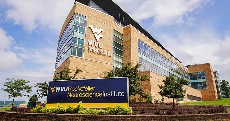 WVU researchers build 3D model to improve neurological treatments | WVU ...