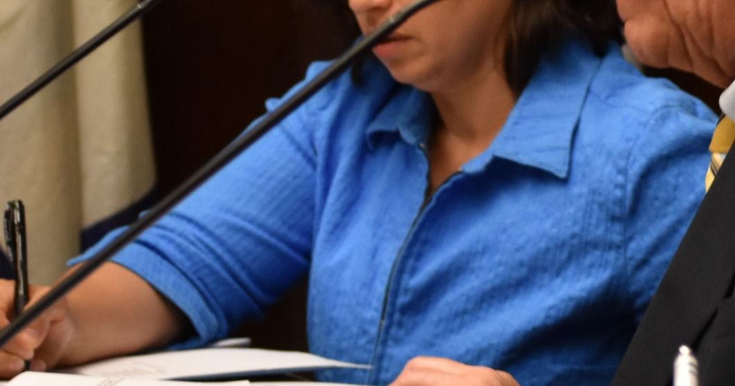 Meet the New City Council: Rachel Fetty | News | thedaonline.com