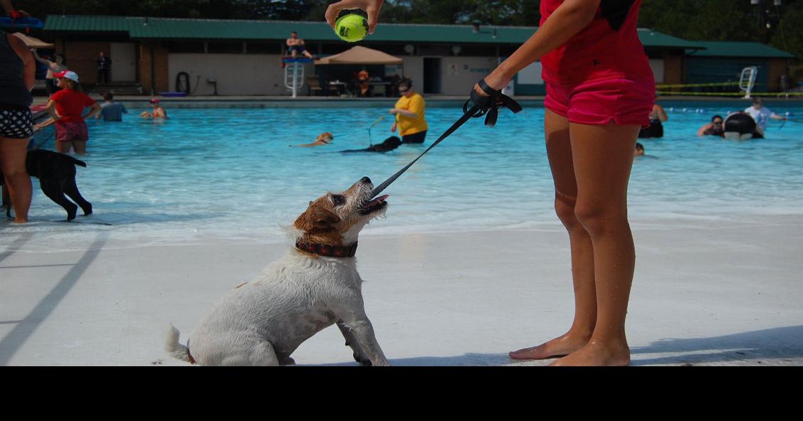 Marilla Pool welcomes dog owners, hosts activities in fundraiser for ...